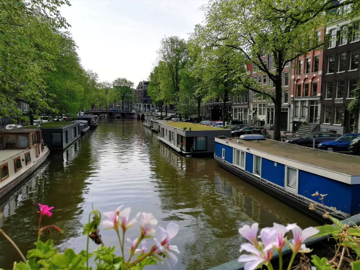 My Jordaan Amsterdam special: fun facts and travel tips.